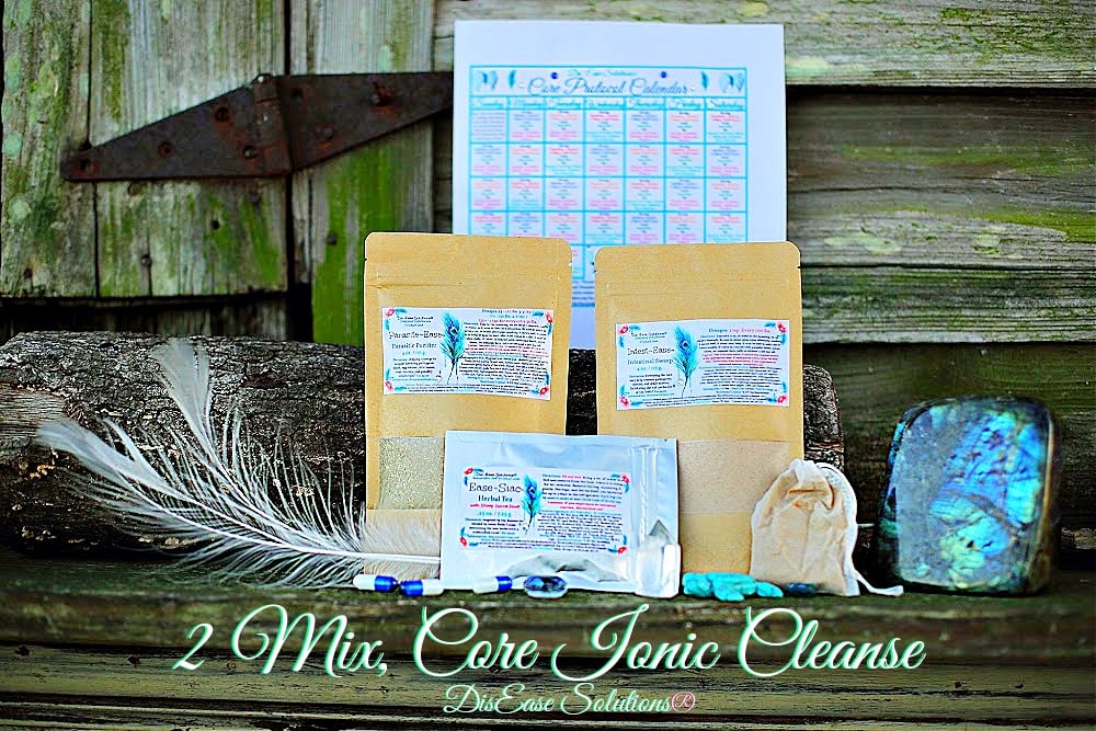 Core Ionic Cleanse - Dis~Ease Solutions®