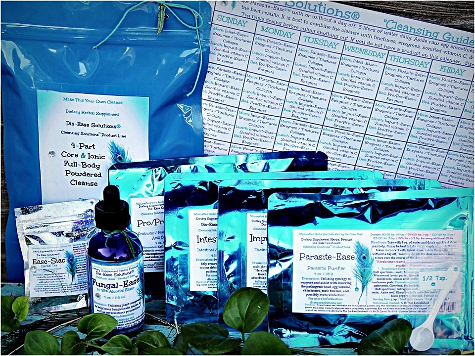 Core Ionic Cleanse - Dis~Ease Solutions®