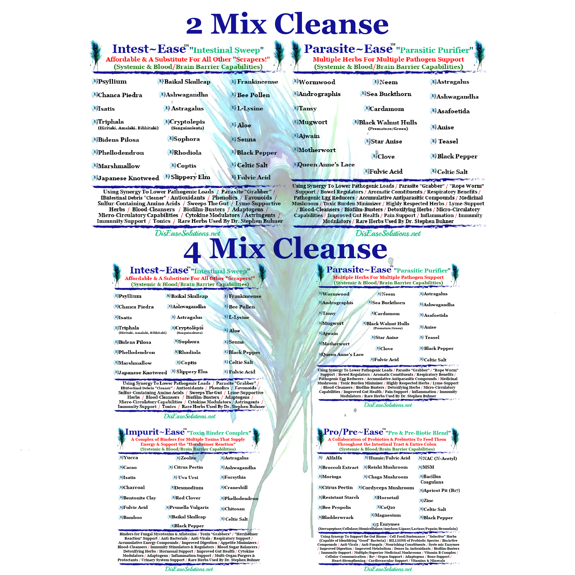 Core Ionic Cleanse Dis Ease Solutions
